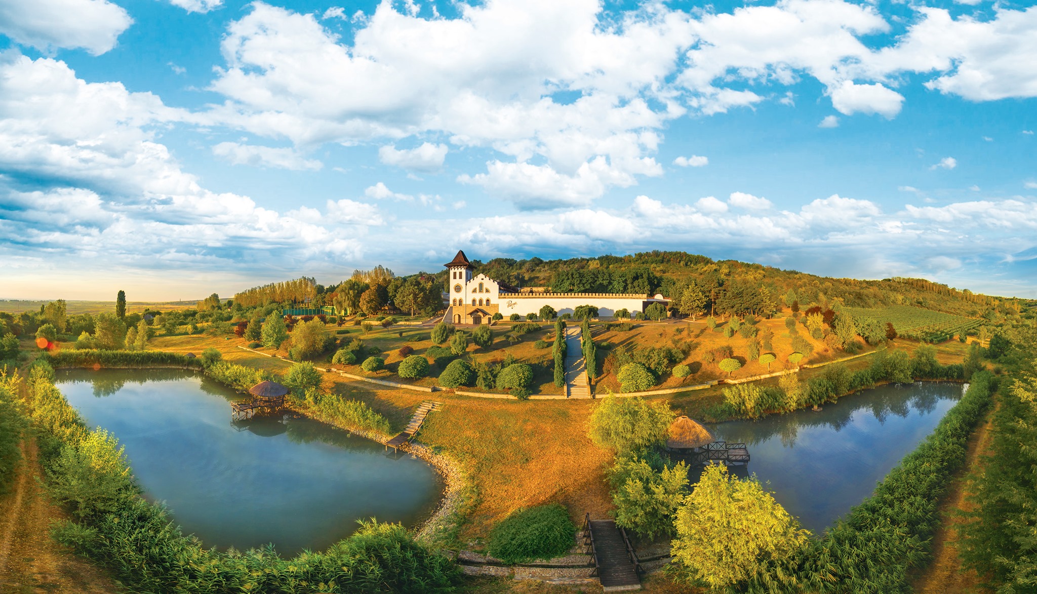 Wines - Château Purcari